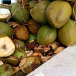 Private Puerto Plata Food Tour and Beach Chillout - Discovering Puerto Plata’s Historic Heart
