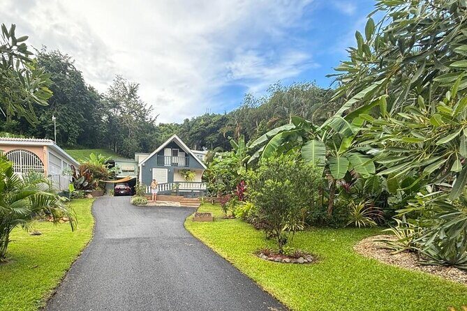 Private Puerto Rican Cooking Class with Cocktails Near San Juan - Who Is This Tour Best For?