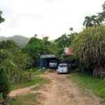 Private Punta Cana Beyond-the-Resort Local Life Tour - What Makes This Tour Stand Out?