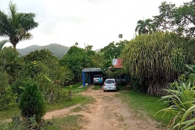 Private Punta Cana Beyond-the-Resort Local Life Tour - What Makes This Tour Stand Out?