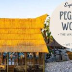 Private: Punta Cana: El Dorado Water Park Entry with Lunch - Transportation and Practicalities