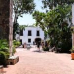 Private: Punta Cana Santo Domingo Day Trip with Lunch - Practical Details and Tips