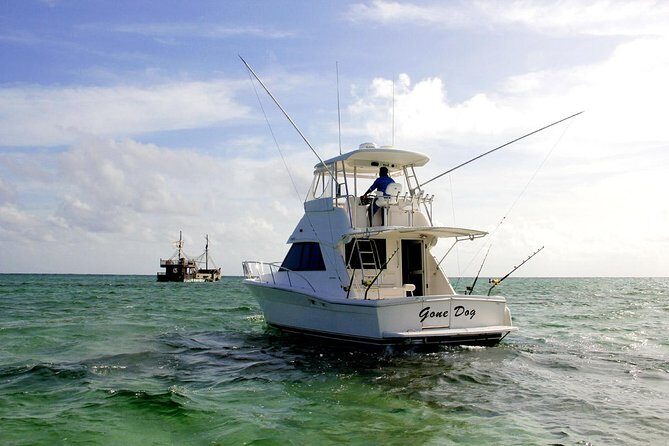 Private Punta Cana Six Hour Fishing Charter - The Review Highlights: Authentic Perspectives
