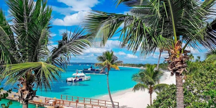 Private: Punta Cana to Catalina: Snorkeling, Beach & Buffet - Why Choose This Tour?