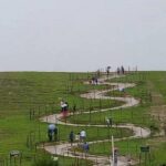 Private Pykara Lake Tour in Ooty with Car - Who Should Consider This Tour?