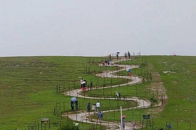 Private Pykara Lake Tour in Ooty with Car - Who Should Consider This Tour?