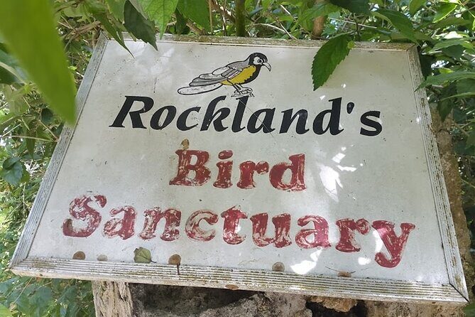Private Rockland Bird Sanctuary Tour from Falmouth - Arriving at Rockland Bird Sanctuary