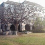 Private Rose Hall Great House Tour from Falmouth - Transportation and Logistics