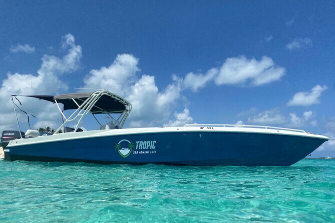 Private Rose Island Half Day Tour with Swimming Pigs and Turtles - A Closer Look at the Experience and Value