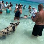Private Rose Island, Swimming Pigs, Snorkeling and Turtles - What Could Be Better