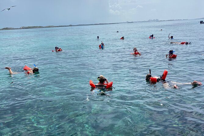 Private Rose Island Tours - Detailed Breakdown of the Itinerary