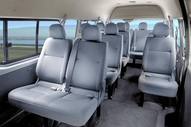 Private Round Trip Airport Transfer Uvero Alto Hotels 7-12 Pax - What Makes This Transfer Stand Out?