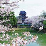 Private Round Trip Transfer to Top Wuxi Attractions from Shanghai - In-Depth Look at the Wuxi Day Trip