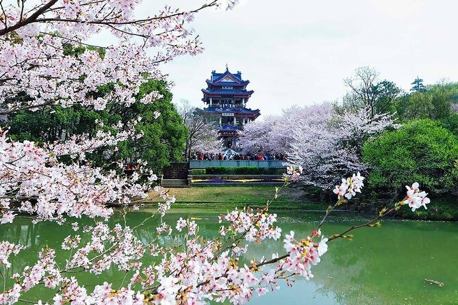 Private Round Trip Transfer to Top Wuxi Attractions from Shanghai - In-Depth Look at the Wuxi Day Trip