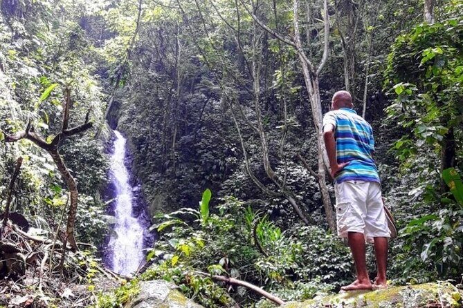 Private Sail & Hike Tour of Grenada - Authentic Experiences & Reviews