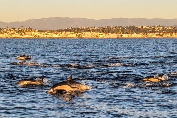 Private Sailing Charters in Oceanside California - The Itinerary in Detail