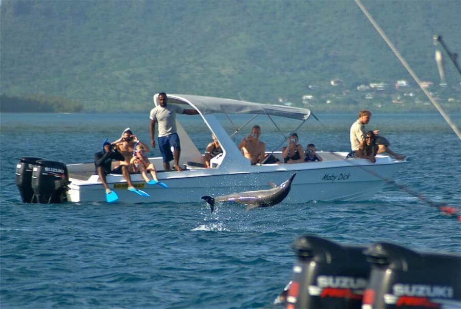 Private: Samana: Bay of Samaná Whale Watching Experience - Why This Tour Offers Good Value