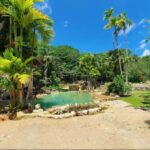 Private Samaná: Los Haitises Park, Caño Hondo & Yanigua Tour - What’s Included and Practical Tips