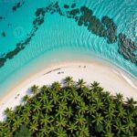 Private: Samaná Whale & Cayo Levantado Luxury Day Trip - Practical Details and Tips