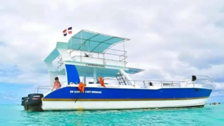 Private: Saona Island Day Trip with Lunch & Cruise - What Makes This Tour Stand Out