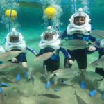 Private: ScubaDoo Underwater Scooter and Snorkel Tour - The Itinerary in Detail