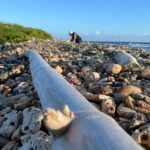 Private Sea Glass Island Kayak Morning + Transfer - What the Tour Includes and What to Bring