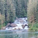 Private Seaplane & Wilderness Hiking Tour to Tongass NF - The Value of the Experience