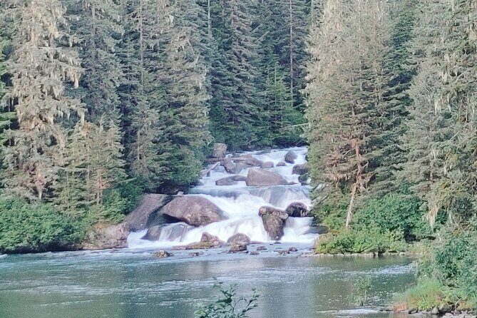 Private Seaplane & Wilderness Hiking Tour to Tongass NF - The Value of the Experience