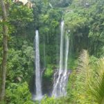 Private Sekumpul Waterfall Hiking Tour - What Makes This Tour Stand Out