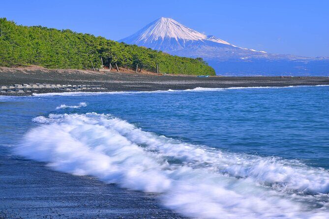 Private Shizuoka Tour from Shizuoka Station / Van Taxi - Authenticity and Value