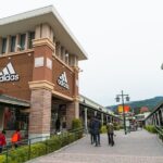 Private Shopping Tour from Tokyo city to Gotemba Premium Outlets - Analyzing the Cost and Value