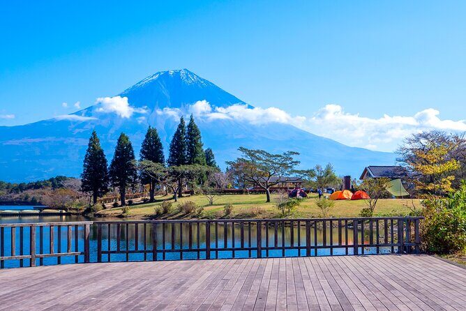 Private Shore Tour: Mt. Fuji Highlights from Shimizu Port - Who Will Enjoy This Tour Most?