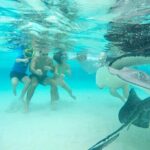 Private Short Tour to Stingray City and Local Welcome Drink - What’s Included and What’s Not