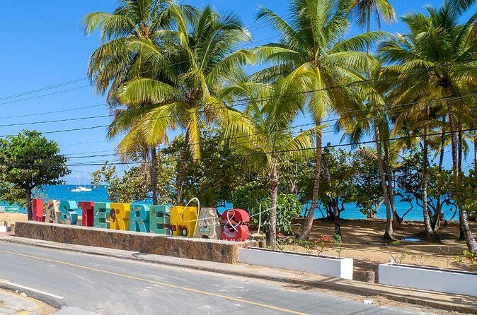 Private Shuttle from Punta Cana to Las Terrenas or Viceversa - Price and Value