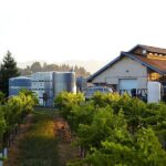 Private Sidecar Winery Tour through San Luis Obispo - Who Is This Tour Best For?