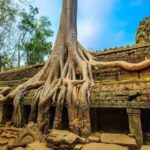 Private Siem Reap 4 Days: Full Exploration of the Angkor Complex - Why This Tour Delivers Great Value
