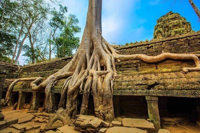 Private Siem Reap 4 Days: Full Exploration of the Angkor Complex - Why This Tour Delivers Great Value