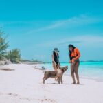 Private Sightseeing Tour in Nassau with Lunch - Authenticity and Value: What Do You Get?