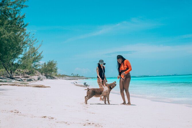 Private Sightseeing Tour in Nassau with Lunch - Authenticity and Value: What Do You Get?