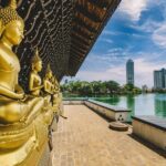 Private Sightseeing Tour in Sri Lanka - Wilpattu National Park: Wildlife Safari