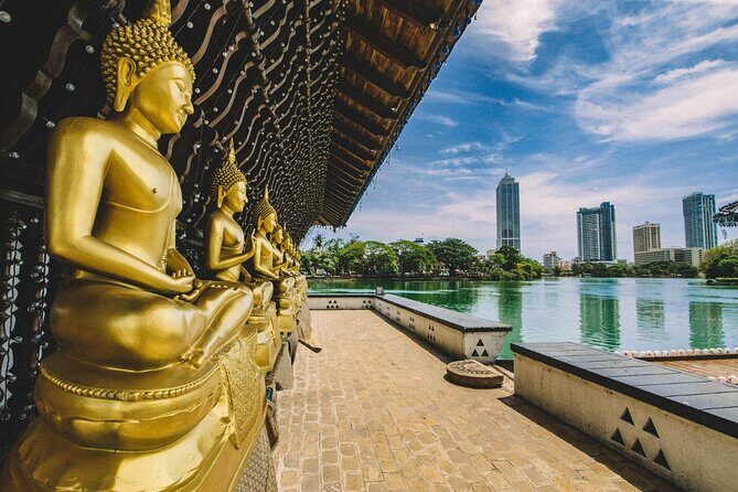 Private Sightseeing Tour in Sri Lanka - Wilpattu National Park: Wildlife Safari