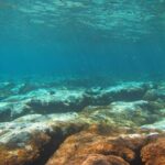 private snorkel - What to Expect from the Snorkeling Experience