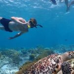 Private Snorkel Tour with Captain and Guide Bonaire Marine Park - The Sum Up