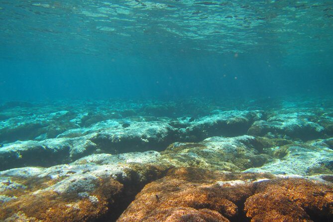 private snorkel - What to Expect from the Snorkeling Experience