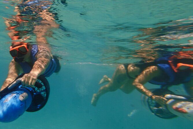 Private Snorkeling and Boat Riding Experience in Aruba - The Guides and Their Knowledge