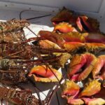 Private Snorkeling And Fishing Activity - Practical Tips for Booking and Participation