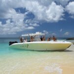 Private Snorkeling Charter to Creole Rock 3 hours - Pricing and Value Analysis