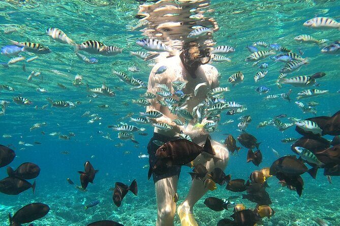 Private Snorkeling from Nusa Penida - Real Experiences from Travelers