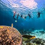 Private Snorkeling Gili Islands Full Day Tour - Who Will Enjoy This Tour?