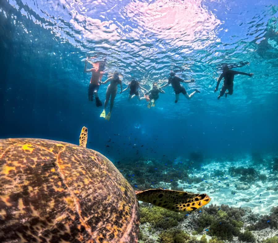 Private Snorkeling Gili Islands Full Day Tour - Who Will Enjoy This Tour?